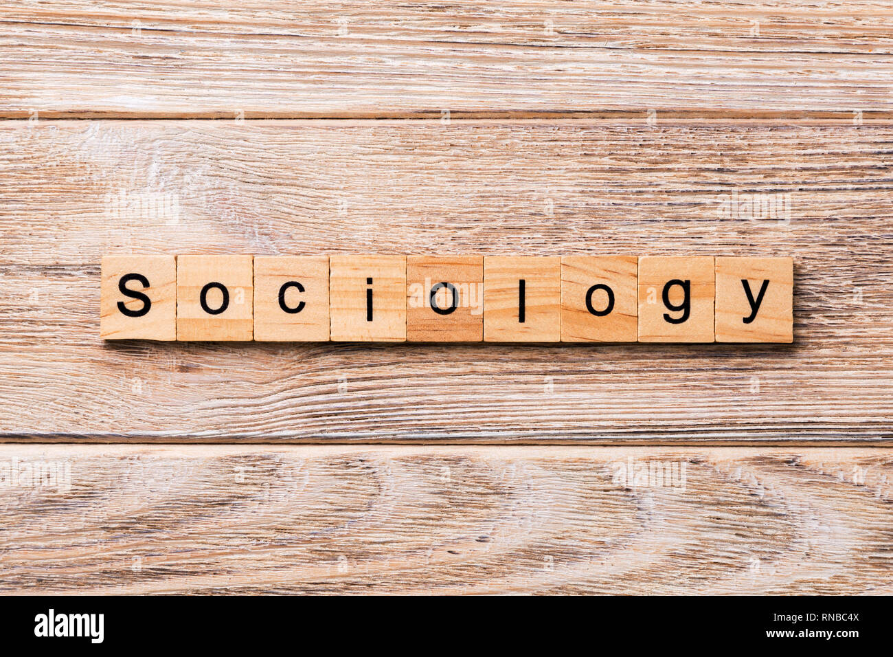 Sociology word written on wood block. Sociology text on wooden table ...