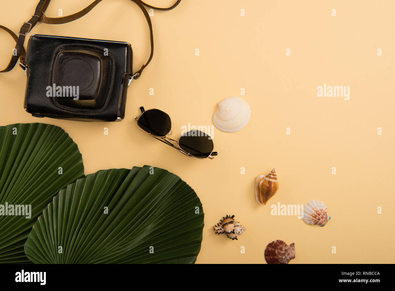 top view of film camera, seashells, palm leaves and sunglasses on beige ...