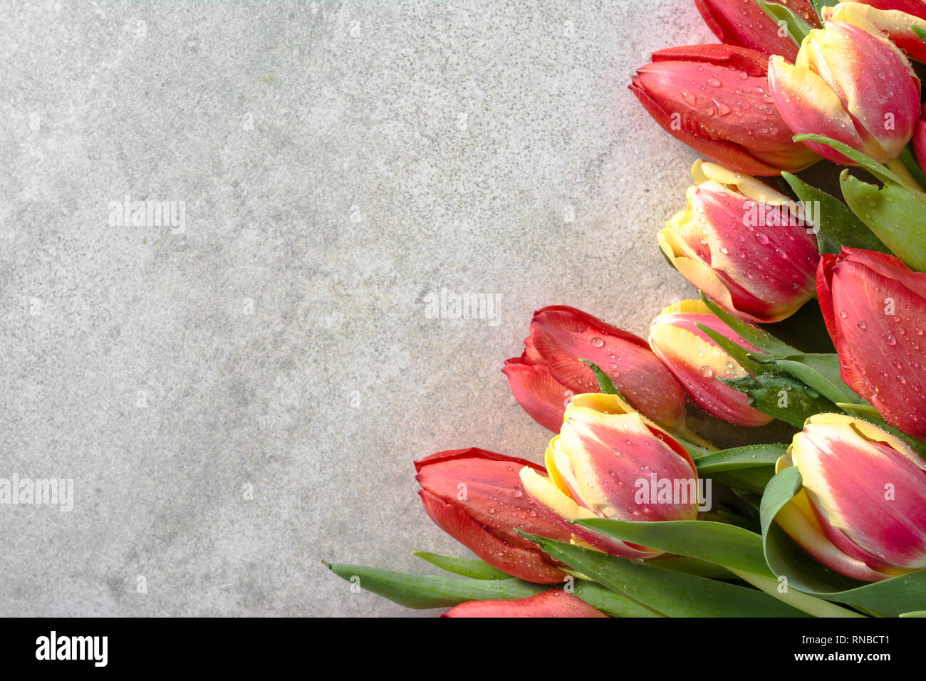 Bouquet of tulips, spring easter background, flowers for mothers day or ...