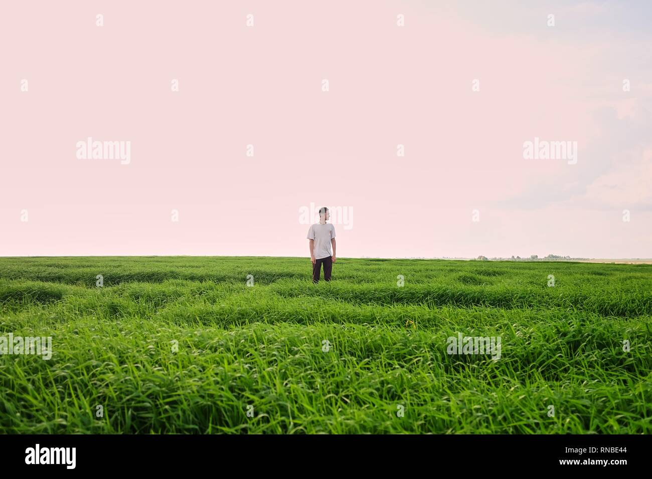 Handsome fit young man at countryside, in field or grassland, wearing ...