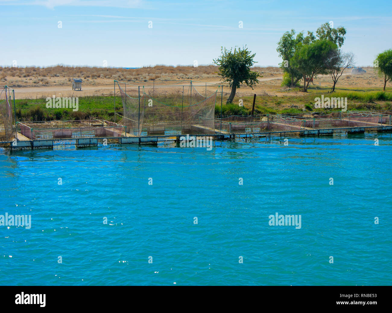 Artificial breeding of fish. Tanks from the net in the open air farm ...