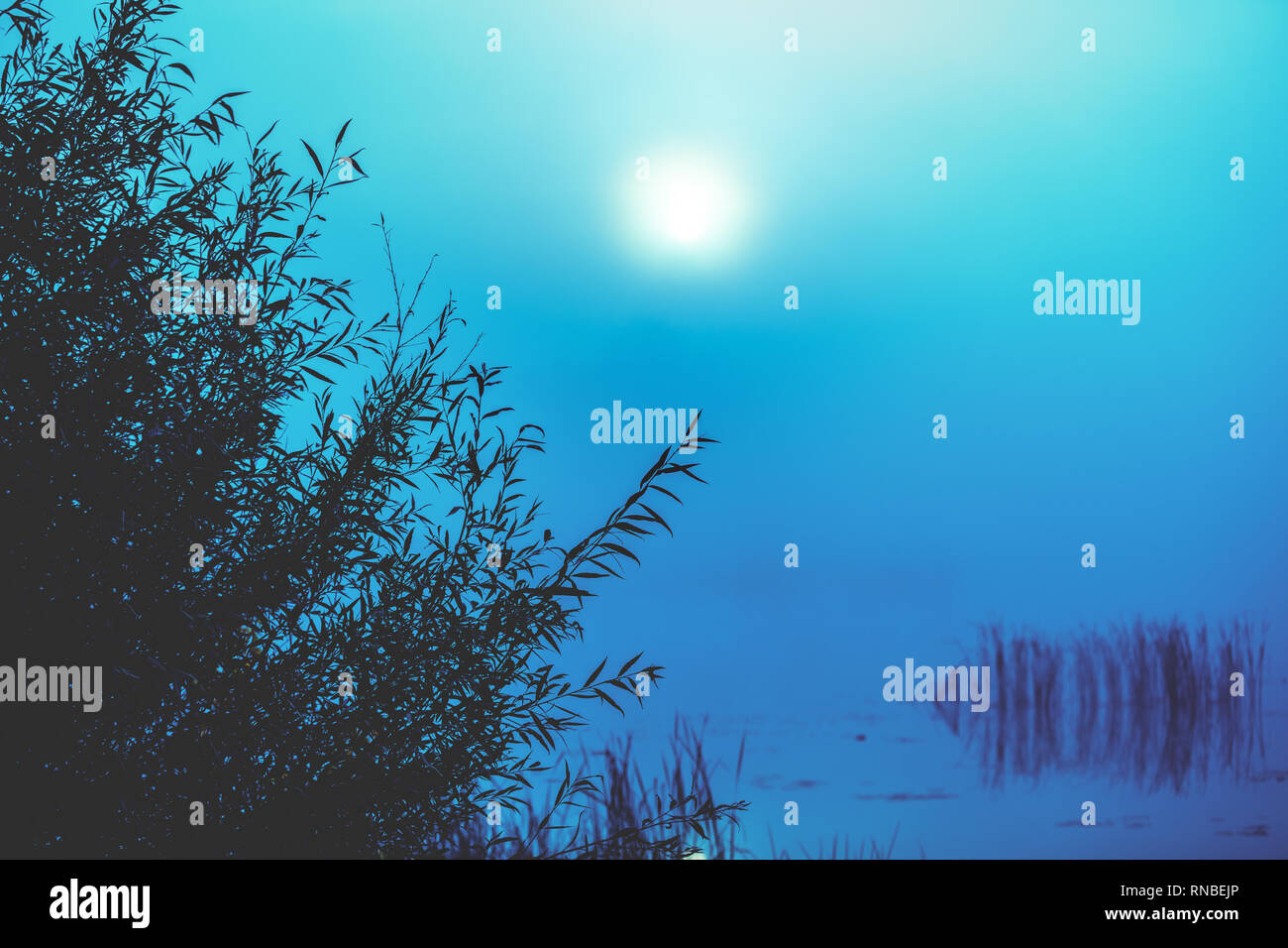 Beautiful morning landscape. Lake in the early foggy morning. Sunrise ...