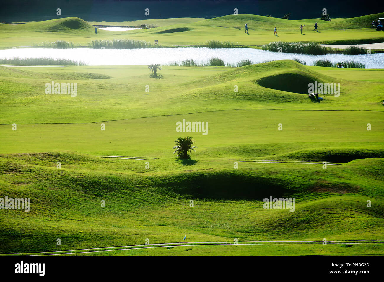 The Nice green grass golf course. Golf club Stock Photo - Alamy
