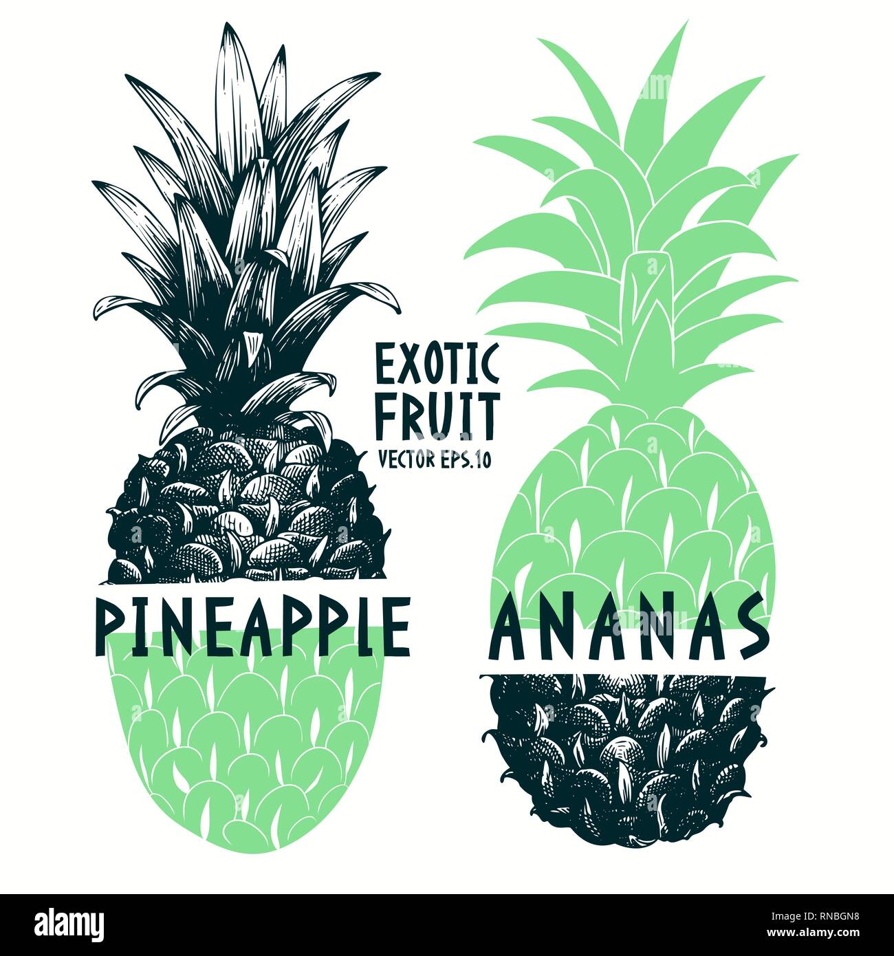 Collage hand drawn pineapple. Vector tropical summer fruit retro ...