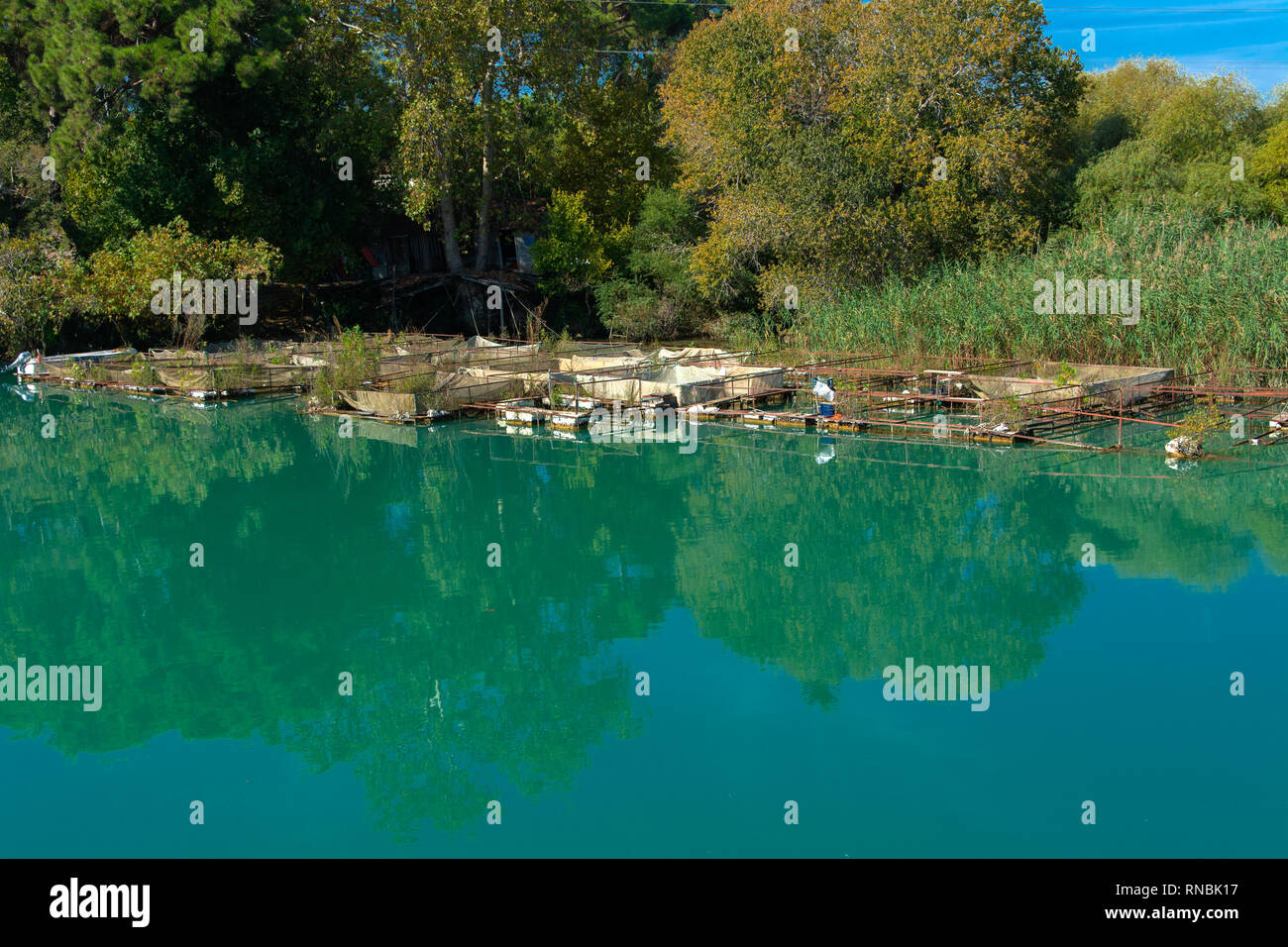 Artificial breeding of fish. Tanks from the net in the open air farm ...