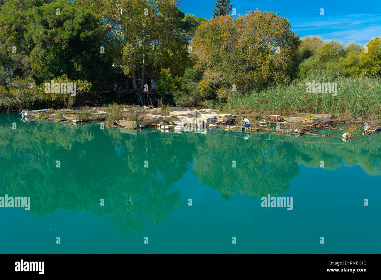 Artificial breeding of fish. Tanks from the net in the open air farm ...