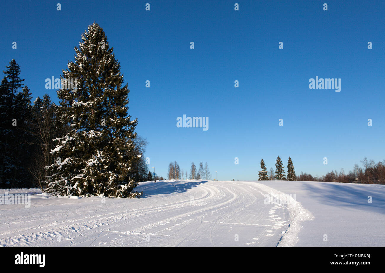 Closeup on Cross-country skiing tracks in winter landscape. Shadows and ...