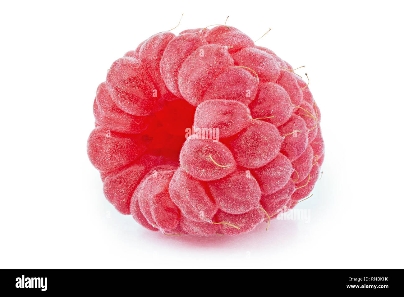 One fresh raspberry isolated on a white background. clearly visible ...