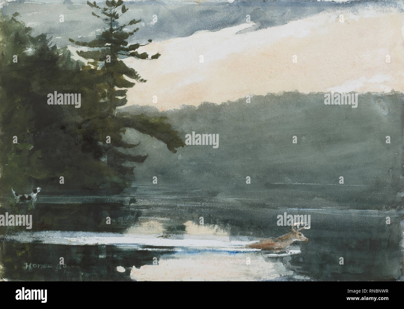 Winslow Homer (Boston, 1836-Proust Neck, 1910). Deer in the Adirondacks ...