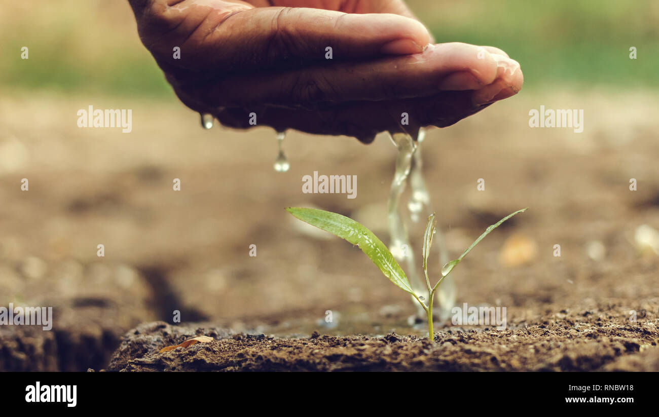 Close up hand watering soil hi-res stock photography and images - Alamy