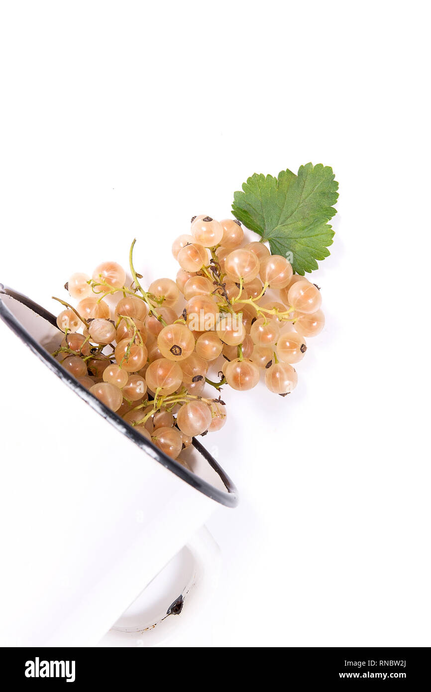 Close up view of white cup with white currant berry isolated on white ...