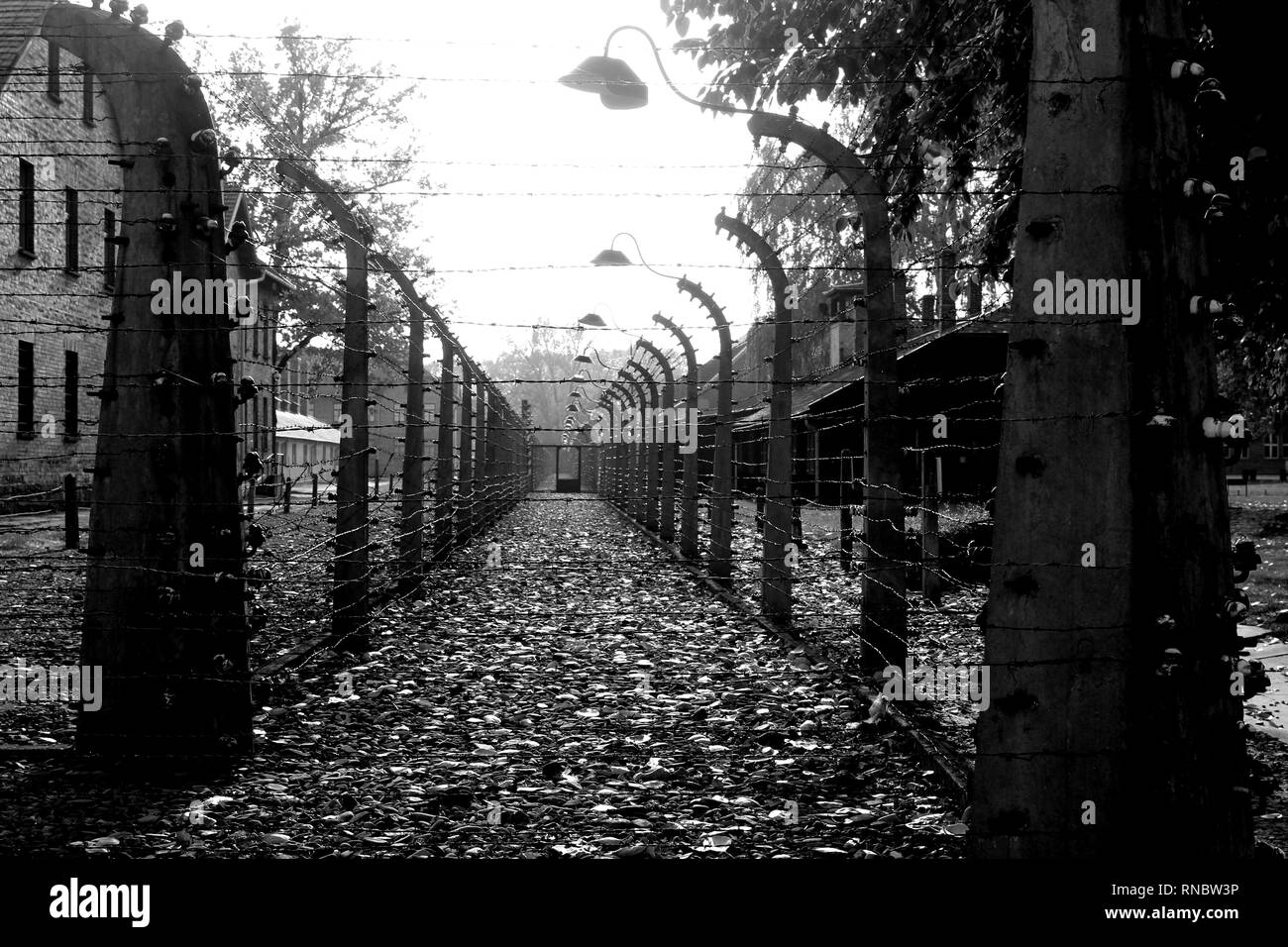 Concentration camps poland Black and White Stock Photos & Images - Alamy