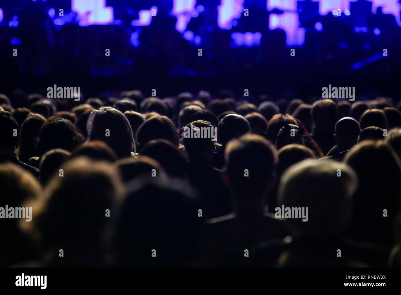 Concert Audience Silhouette