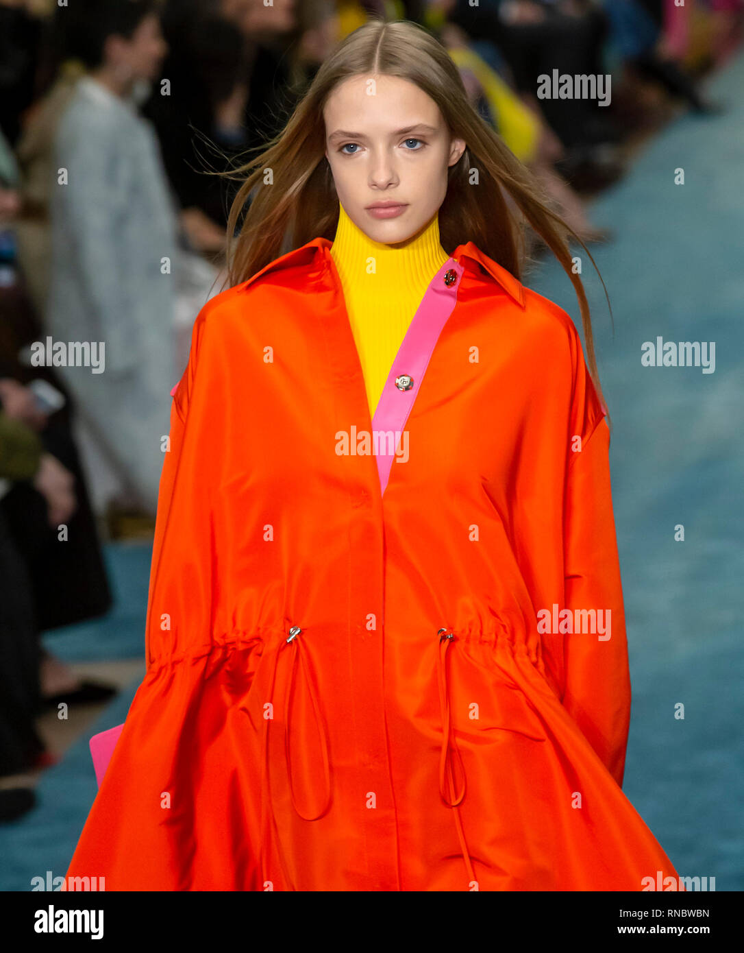 New York, New York - February 11, 2019: Charlotte Rose Hansen walks the ...