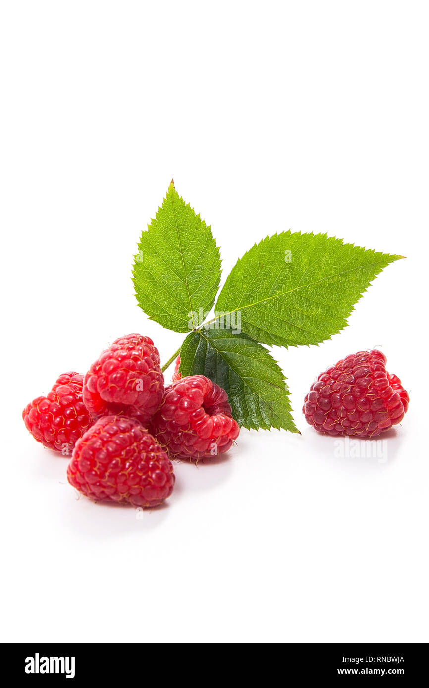 Close up view of fresh raspberries fruits with green leaf of raspberry ...