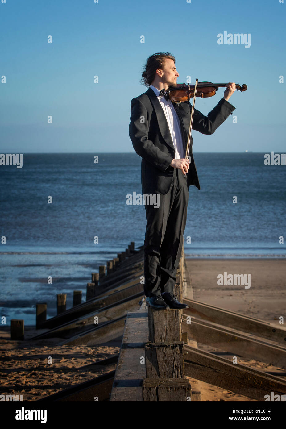 Musician and composer daniel safford hi-res stock photography and ...