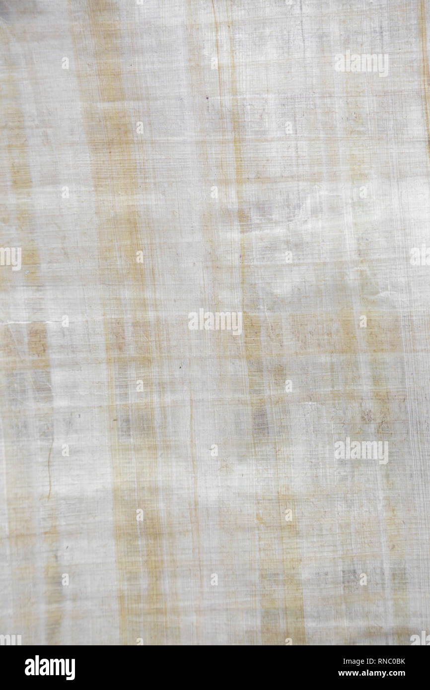 Papyrus paper texture hi-res stock photography and images - Alamy