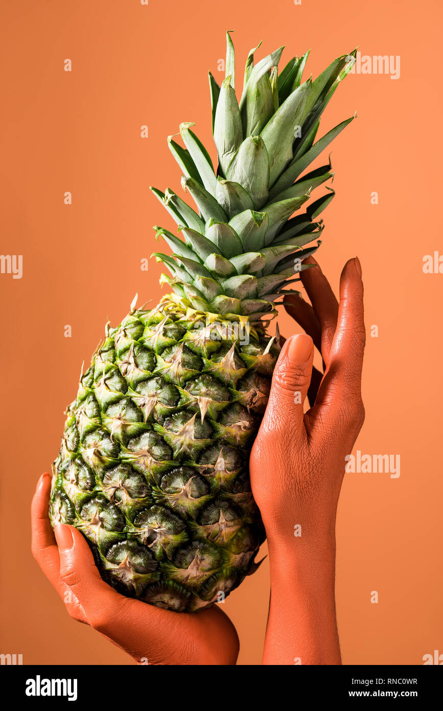Pineapple coral hi-res stock photography and images - Alamy