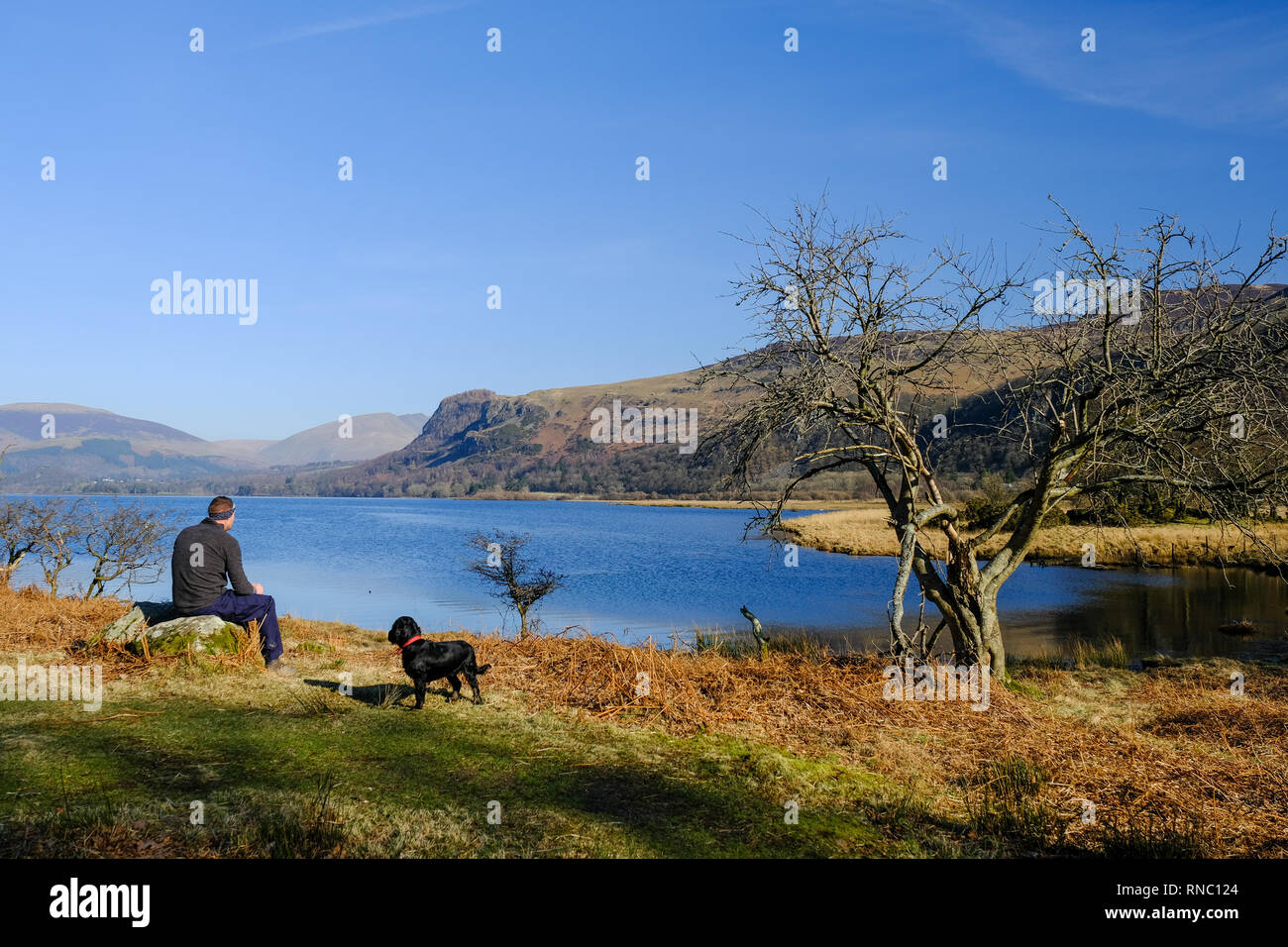 Derwent Walk High Resolution Stock Photography and Images - Alamy