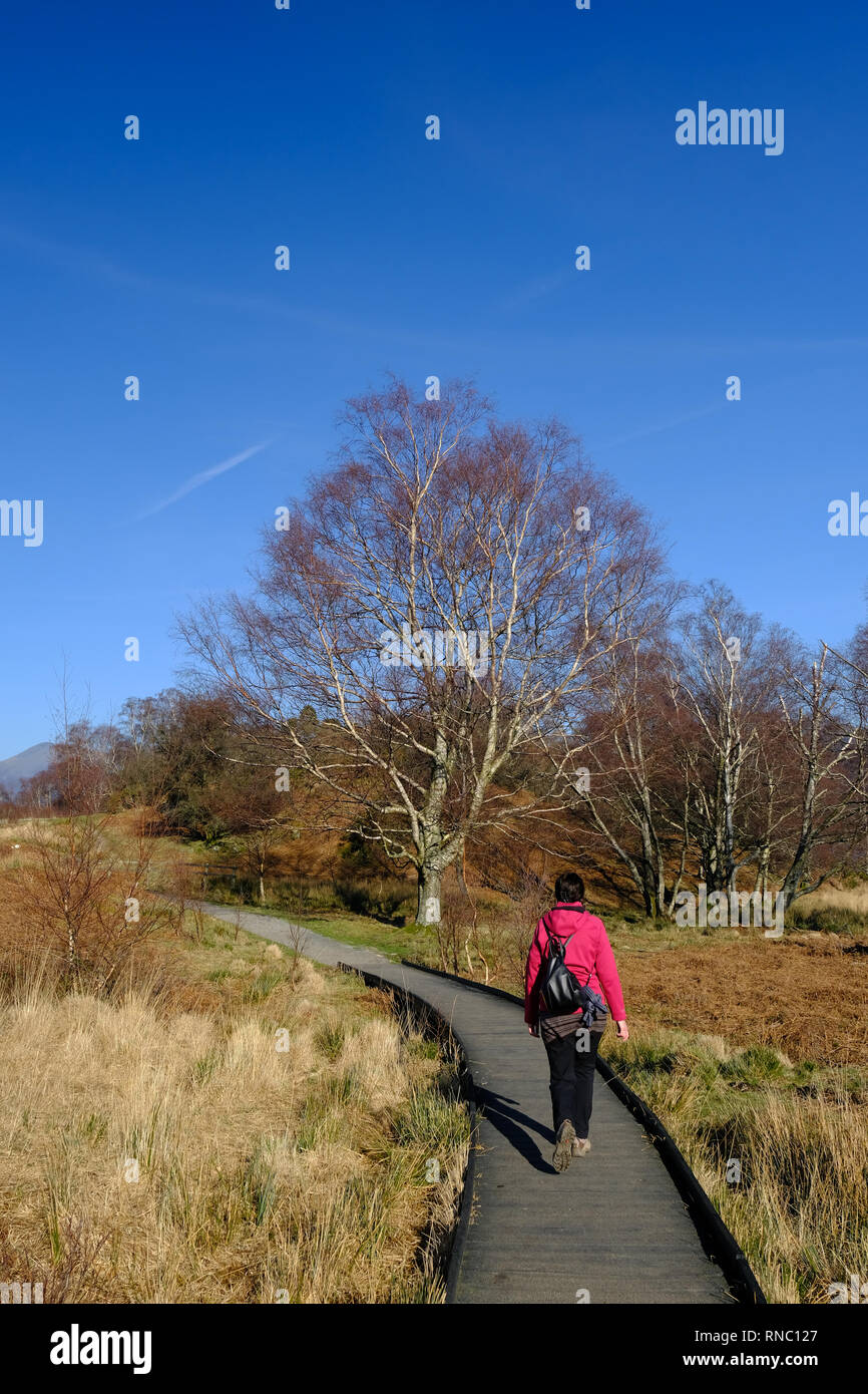 Woman walking along a path, part of the Circular walk around Derwent ...