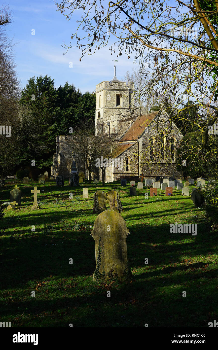 The church of St Mary the Virgin, Walkern, Hertfordshire Stock Photo ...