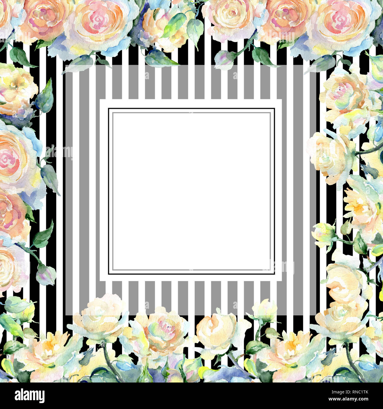 Beige rose bouquet floral botanical flower. Watercolor background ...