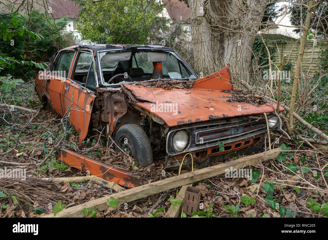 abandoned overgown morris marina car in back garden Stock Photo - Alamy