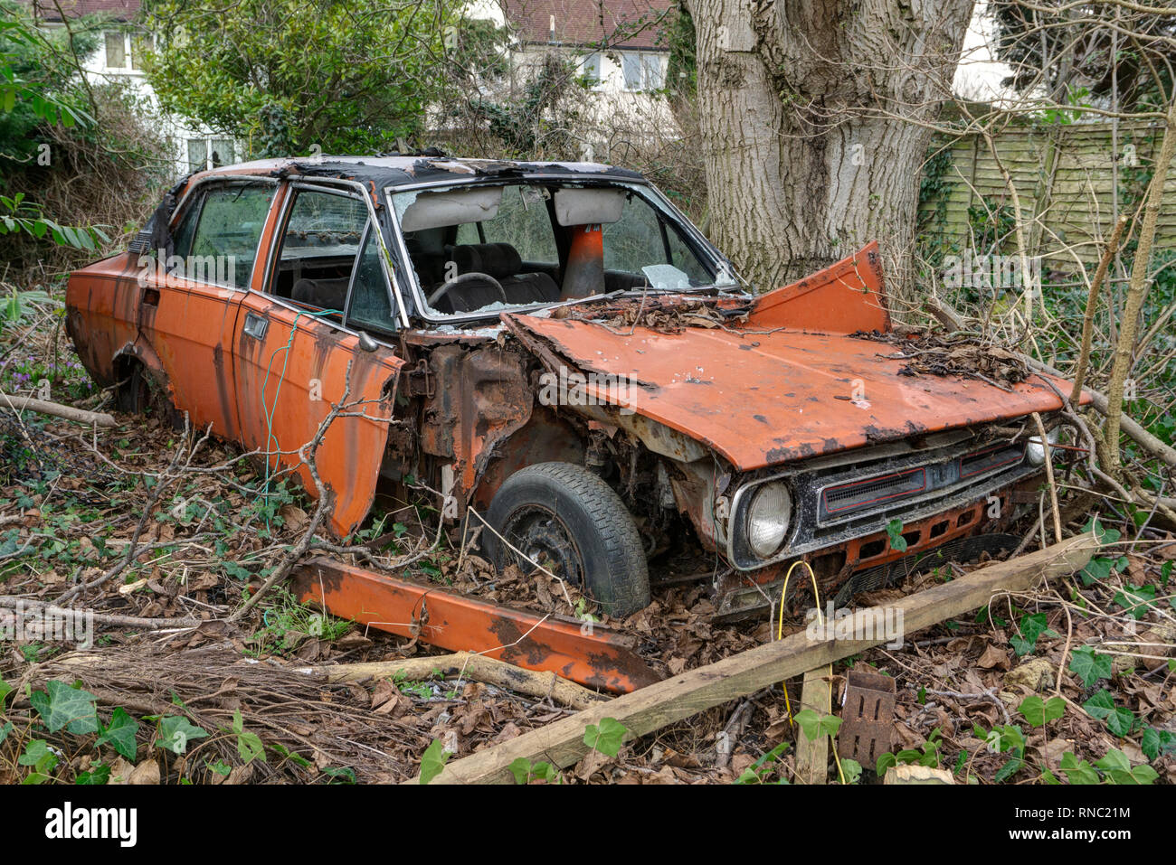abandoned overgown morris marina car in back garden Stock Photo - Alamy