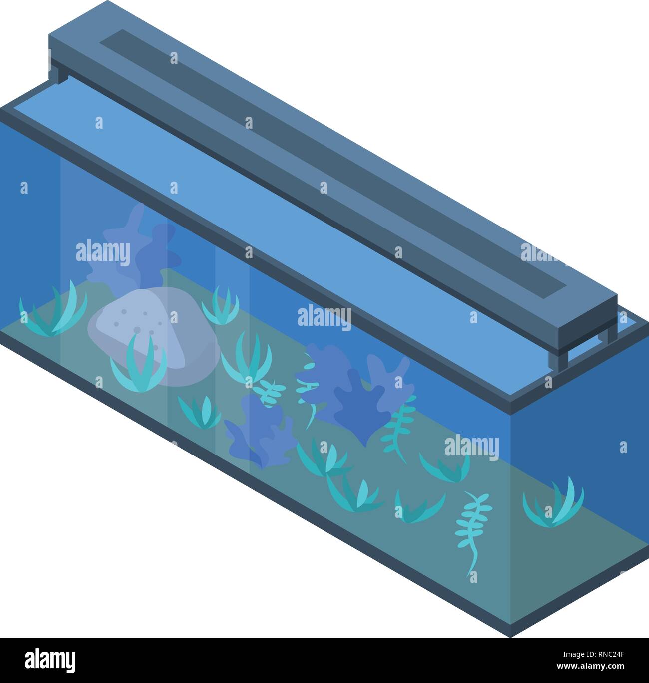 Office aquarium icon, isometric style Stock Vector Image & Art - Alamy