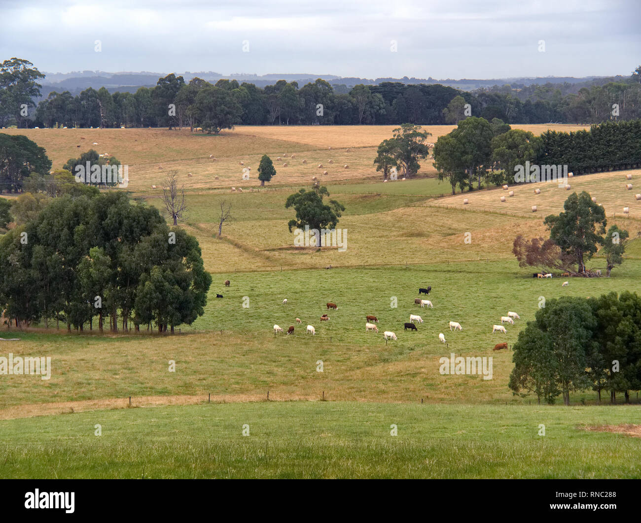 Buy Farmland In Australia at Alicia Barrenger blog