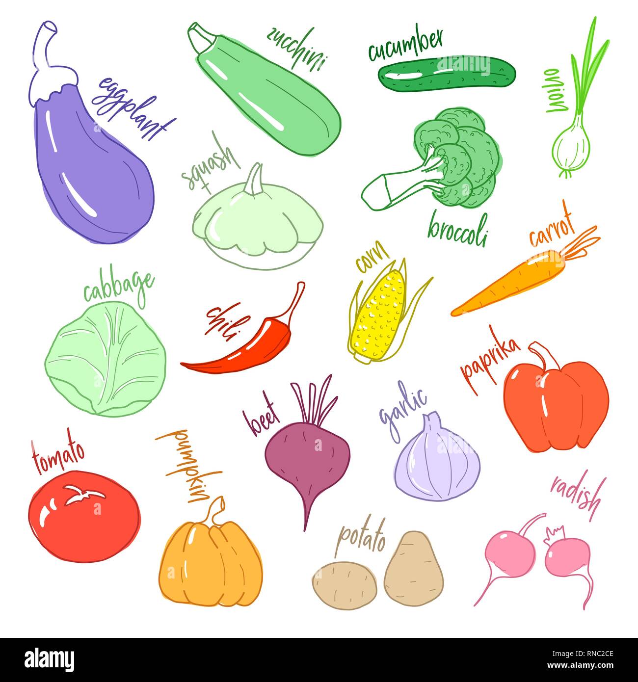 Set of different vegetables in doodle style. Vector Stock Vector Image ...
