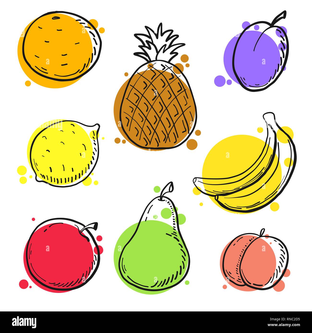 Different fruits in doodle style. Vector illustration Stock Vector ...