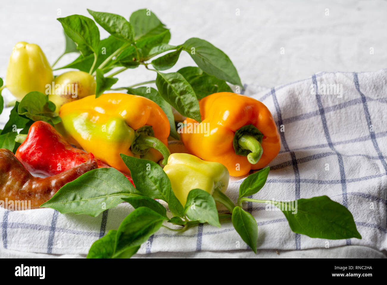 Local pepper hi-res stock photography and images - Alamy