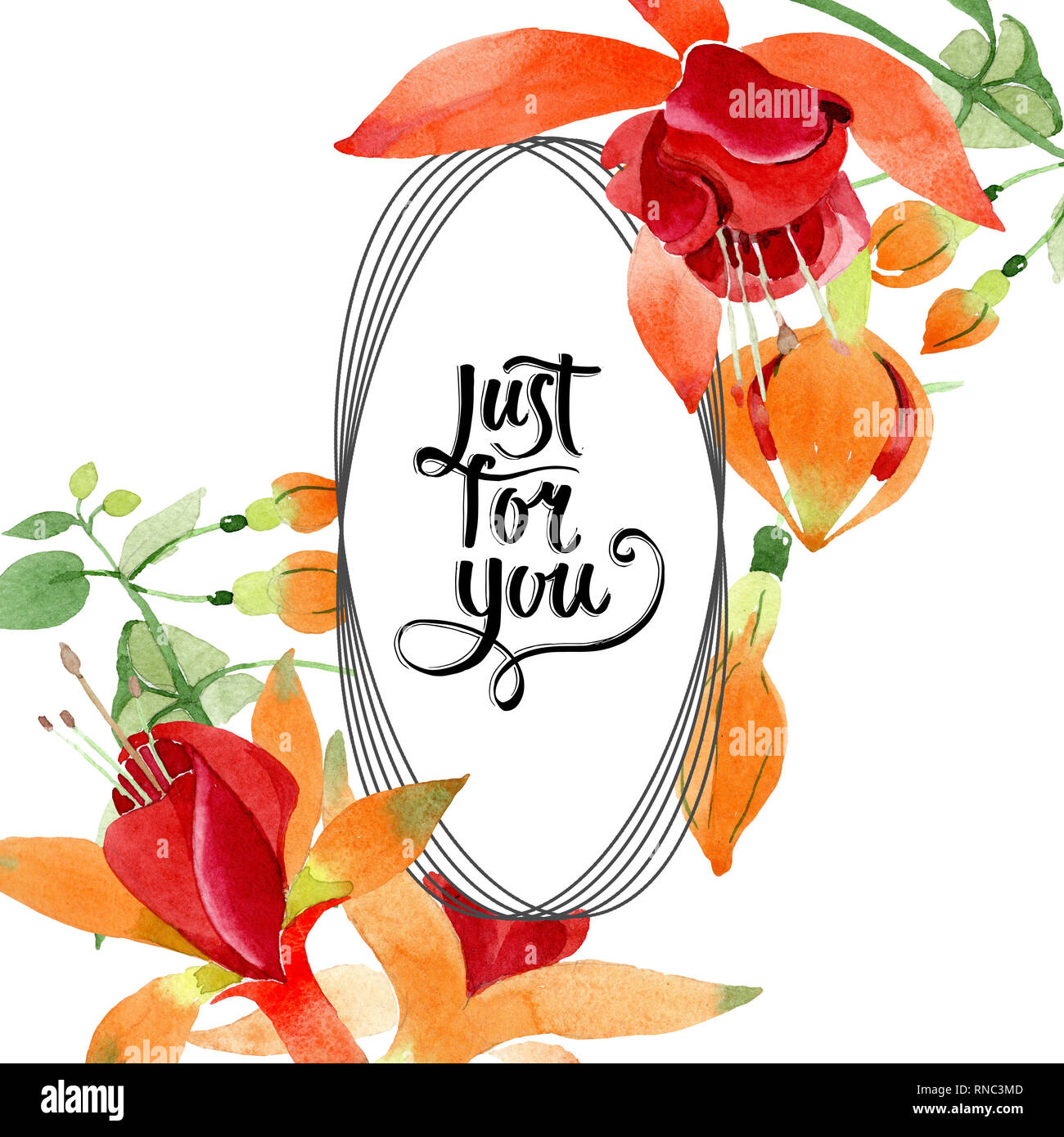 Red orange fuchsia floral botanical flower. Watercolor background ...