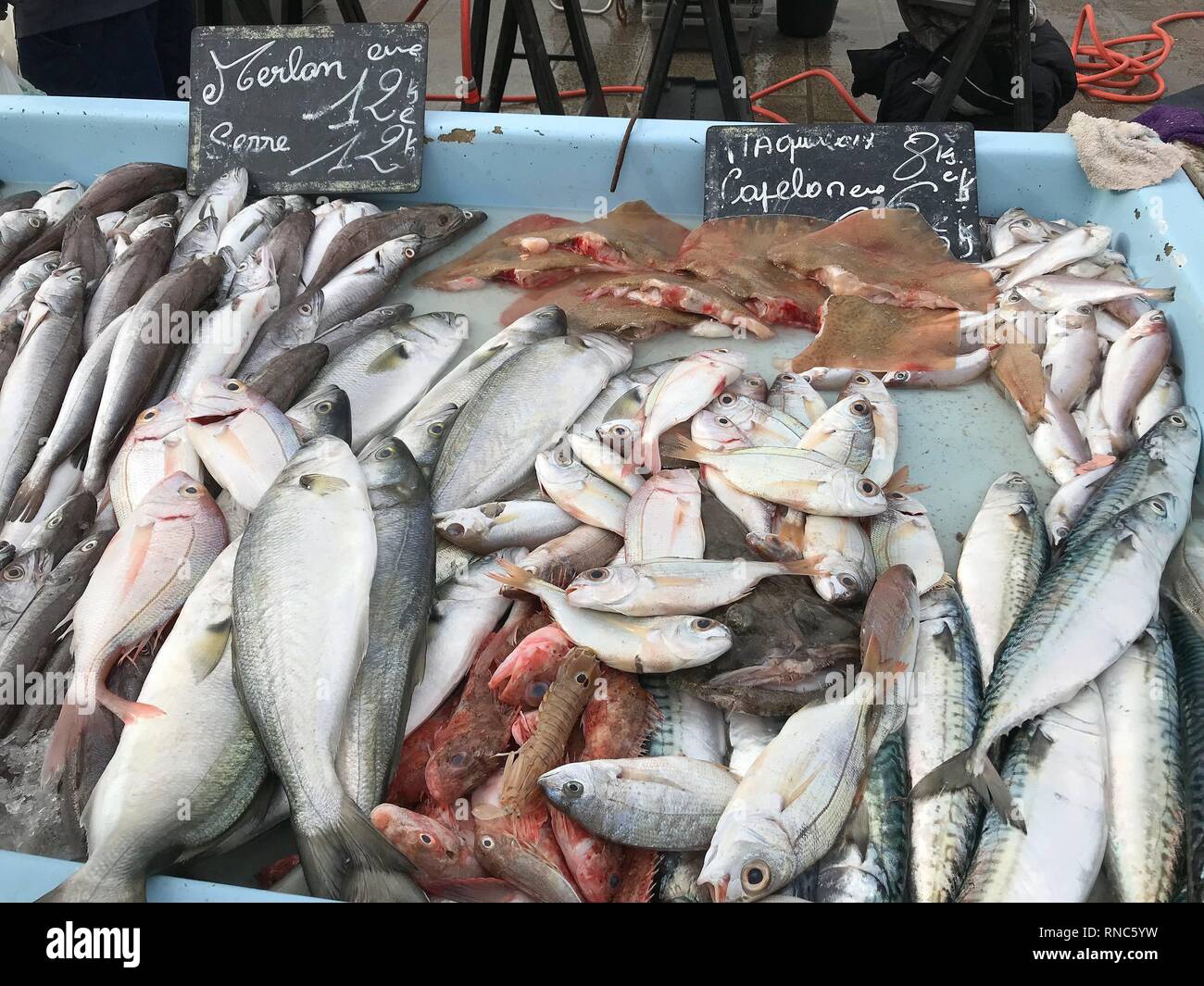 Daily Fish Market at the Quai des Belges at the Vieux Port in the south ...