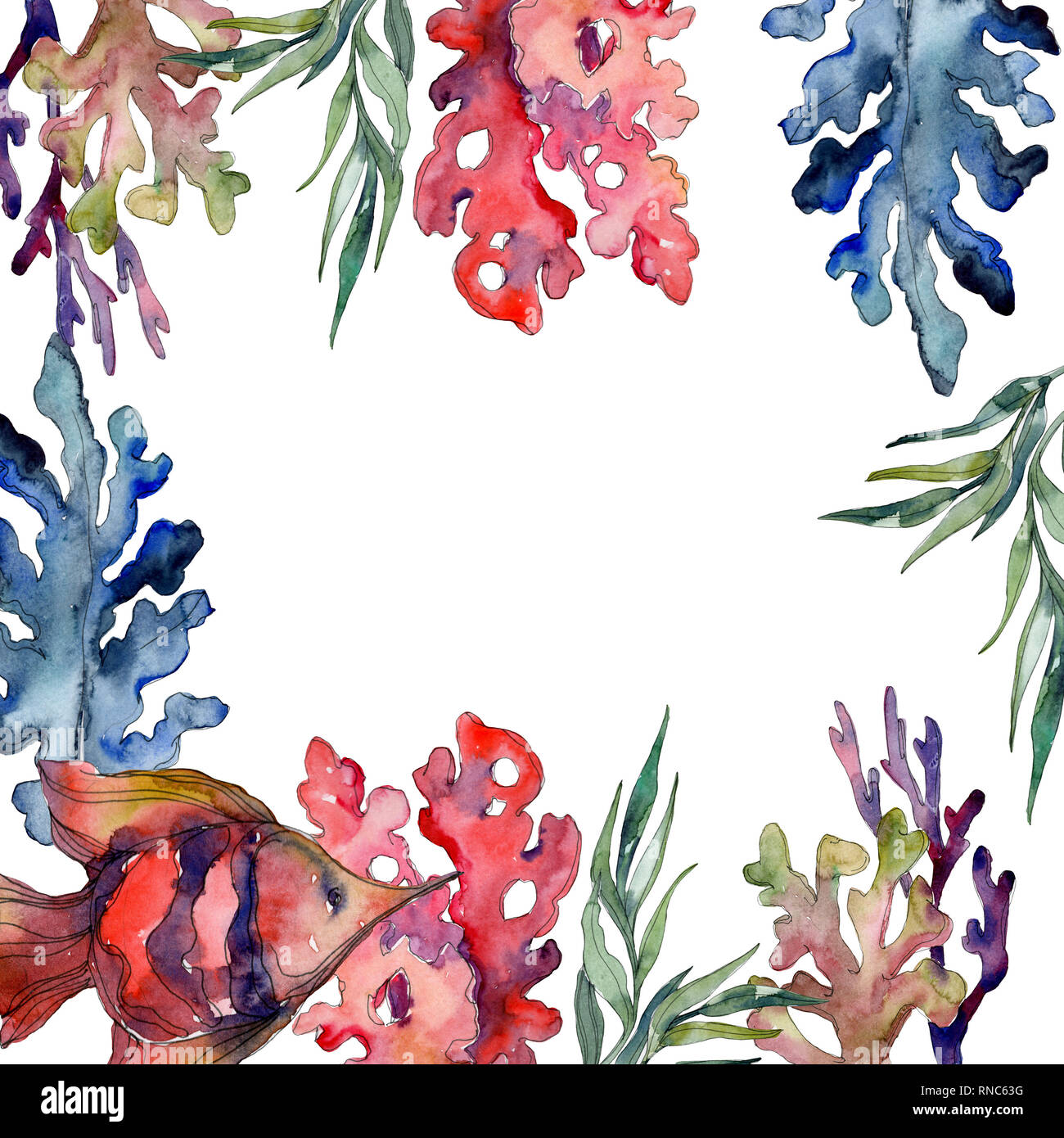 Coral Border Template