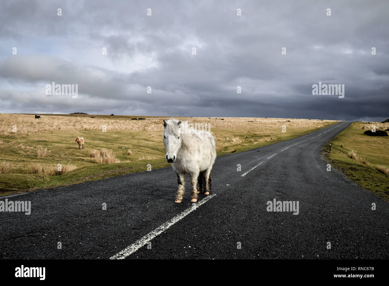 Sunny spells dominate landscape hi-res stock photography and images - Alamy