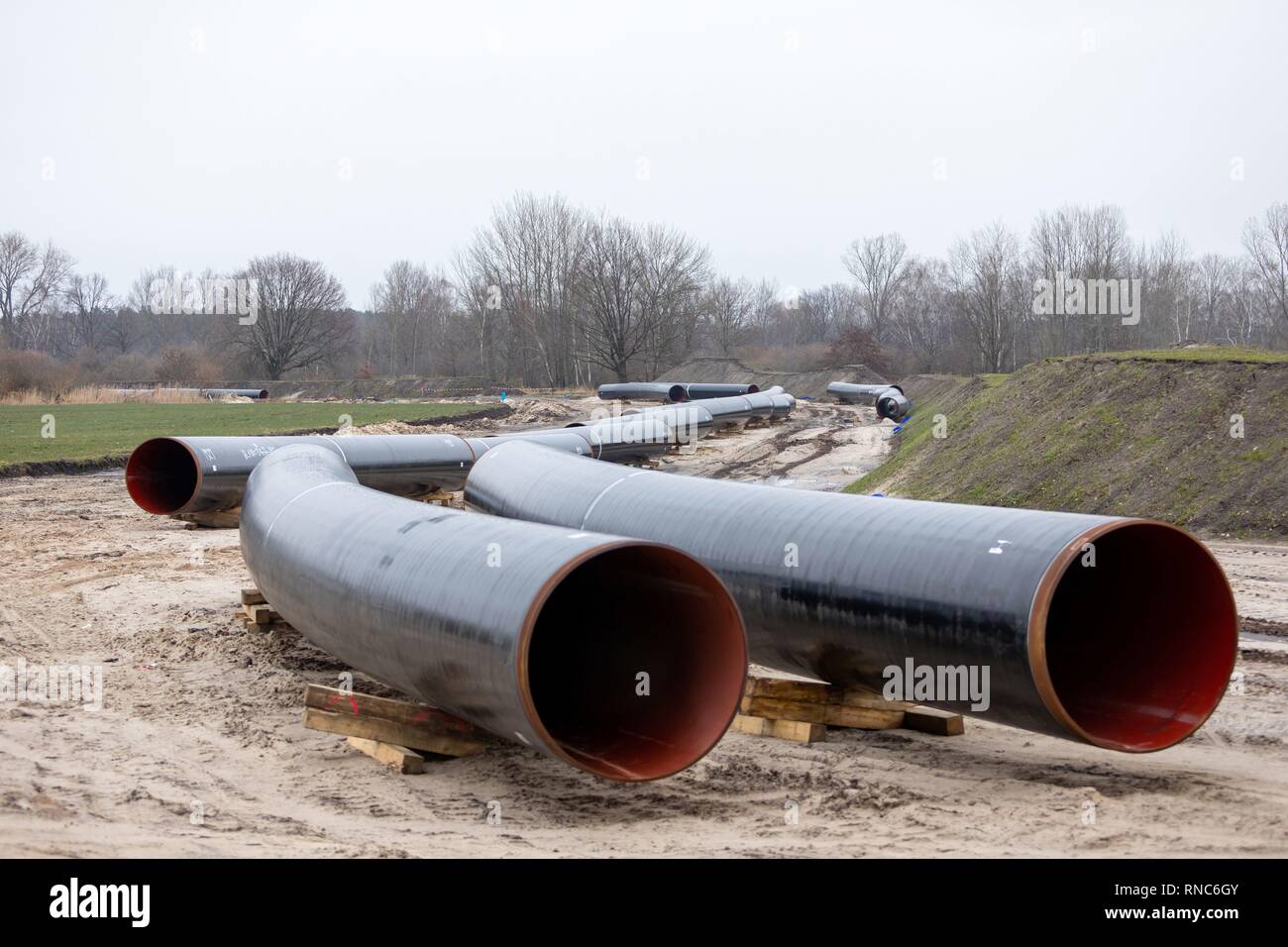 Tubes of the EUGAL natural gas pipeline on the trace near Plessa in ...