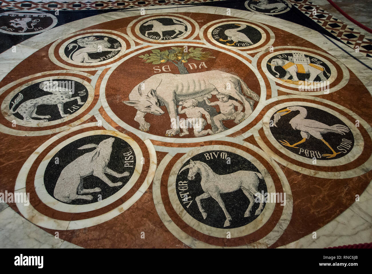 She Wolf of Siena on the floor of Duomo di Siena (Siena Cathedral ...