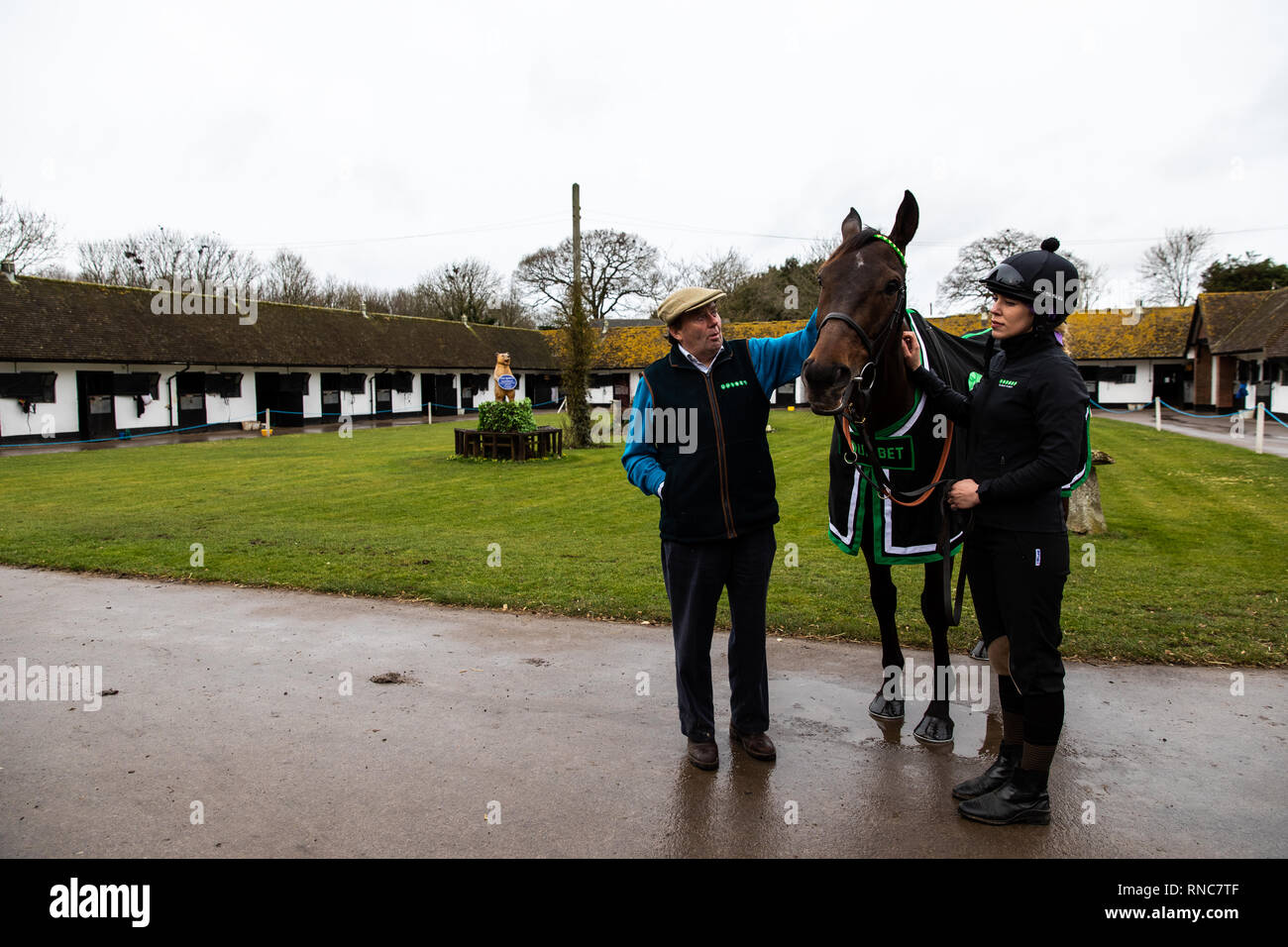 Nicky Henderson and Buveur D'Air with his stable hand Hannah Ryan poses ...