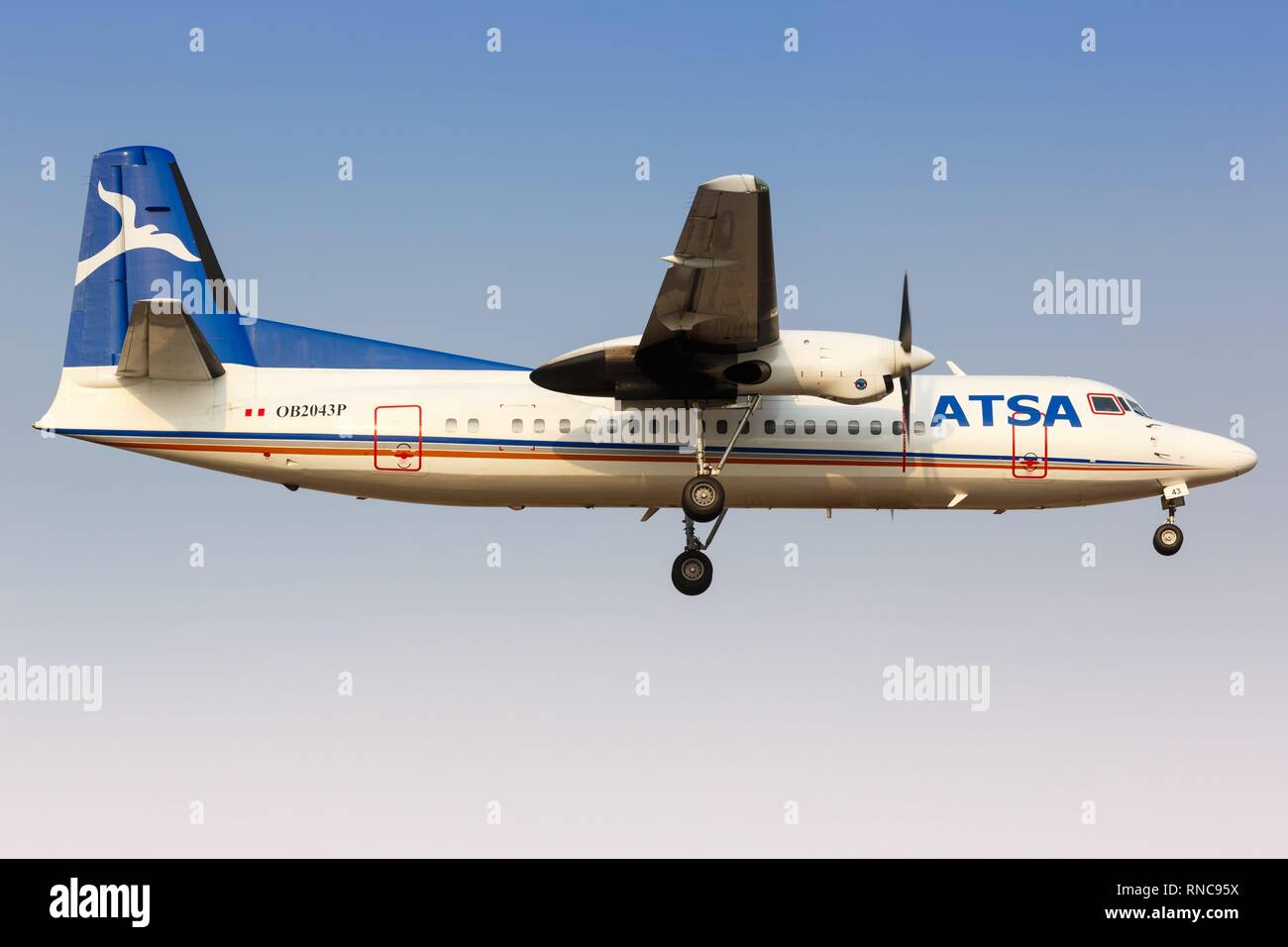 Atsa peru hi-res stock photography and images - Alamy