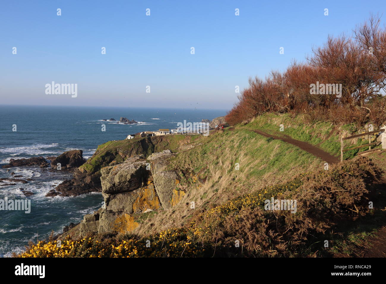 South west coast path Lizard Point Cornwall Stock Photo - Alamy