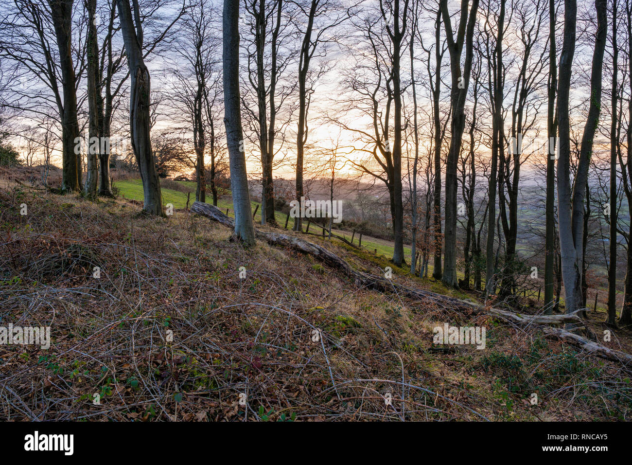 Landscape hillside hi-res stock photography and images - Alamy