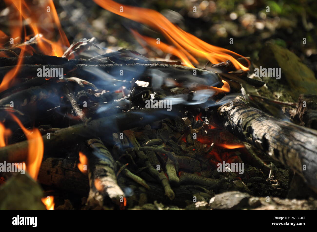 Beautiful color of burning red coals and black charred wood. Orange hot ...