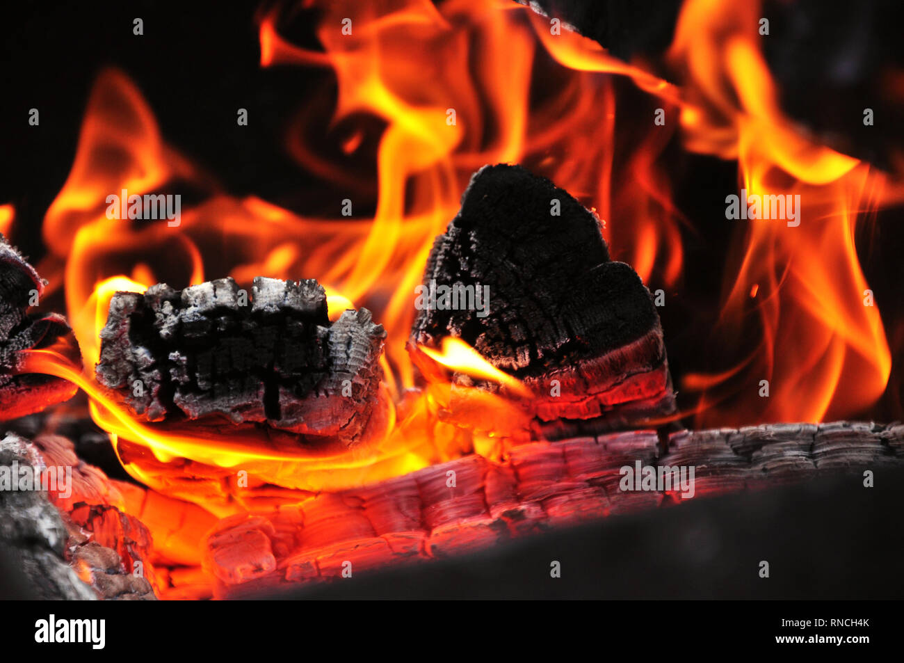 Beautiful color of burning red coals and black charred wood. Orange hot ...