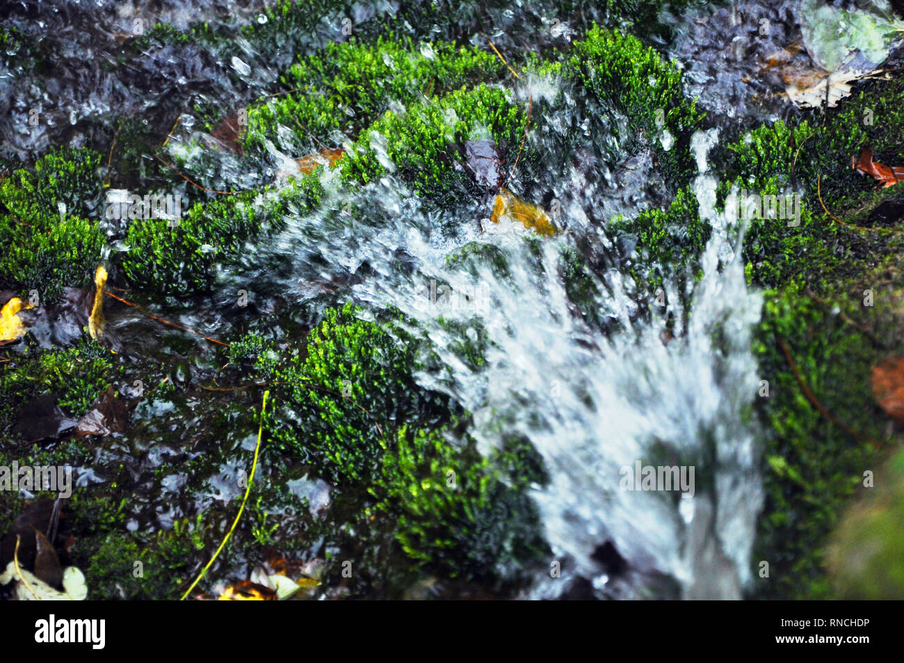 Very beautiful artificial waterfalls with living water and growing moss ...