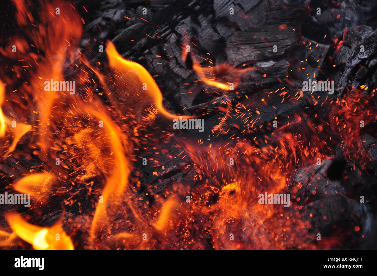 Beautiful color of burning red coals and black charred wood. Orange hot ...
