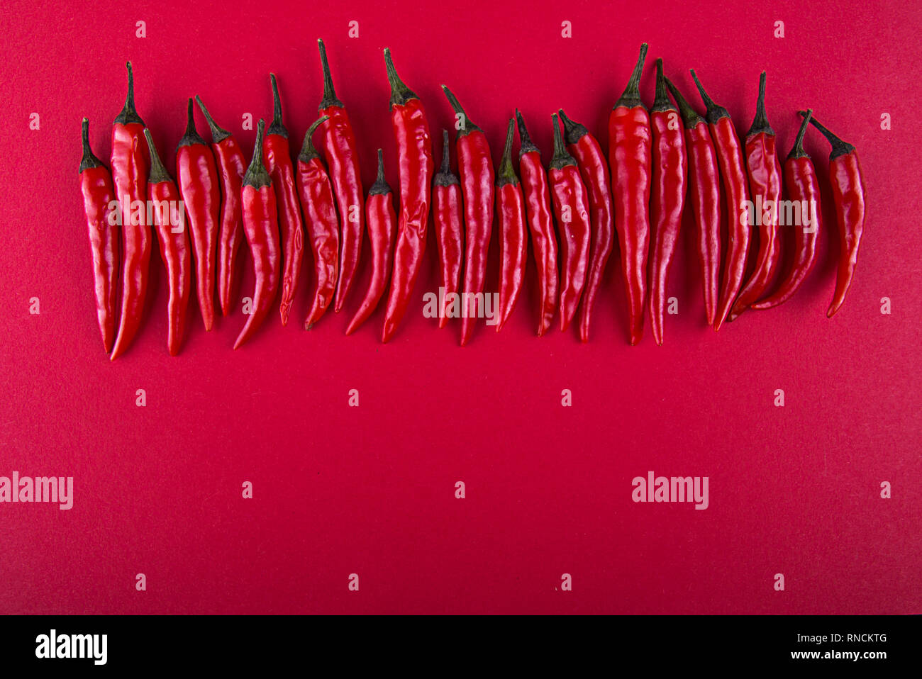 Row of small red chili peppers over on red background. Flat lay. Top ...