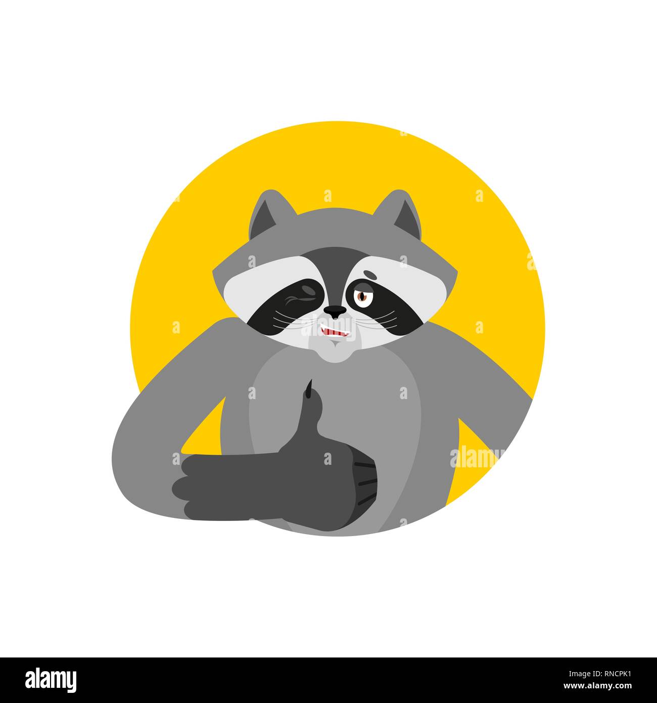 Raccoon thumbs up and winks. Racoon happy emoji. Coon Vector ...