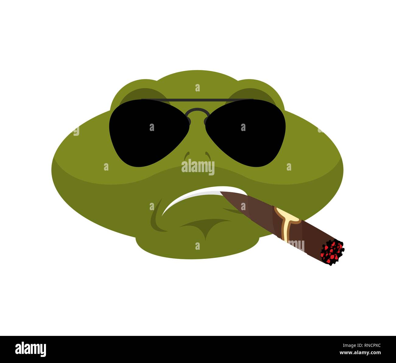 Smoking Toad